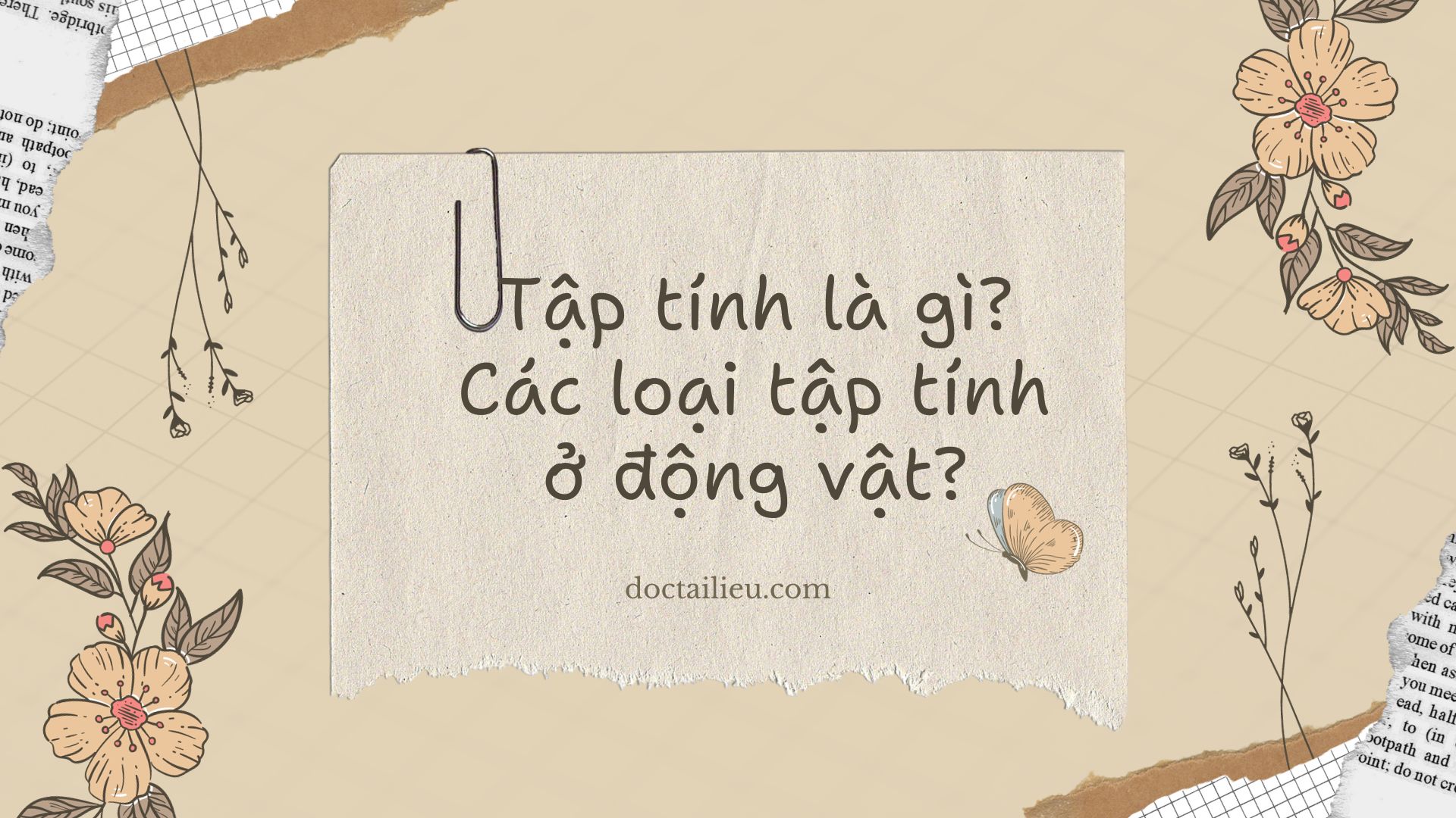 Tập tính là gì? Các loại tập tính ở động vật?