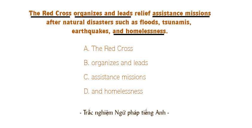 The Red Cross organizes and leads relief assistance missions after natural
