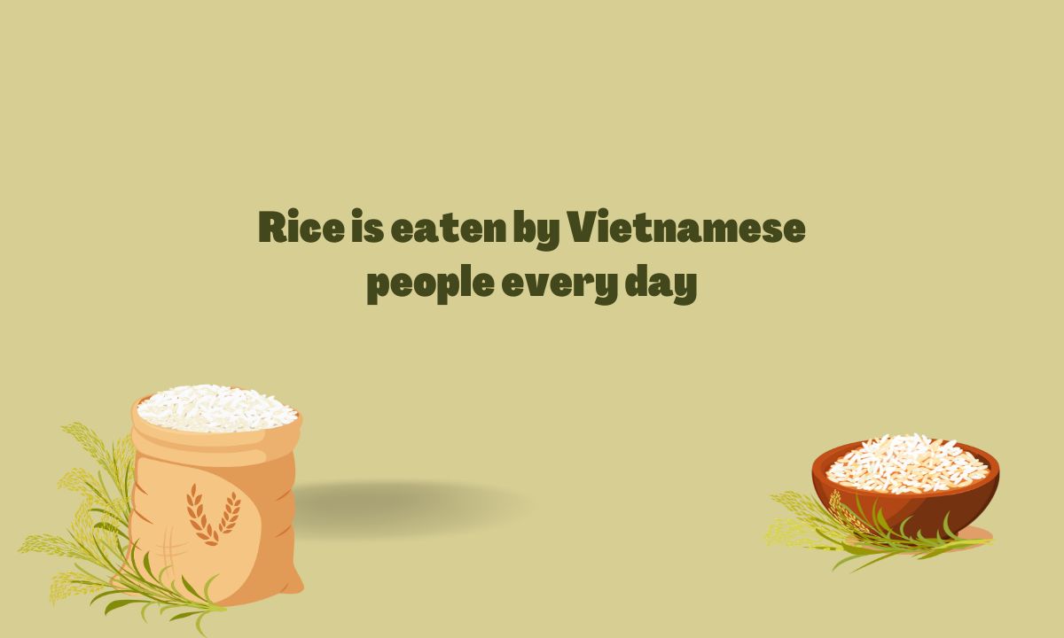 Rice is eaten by Vietnamese people every day