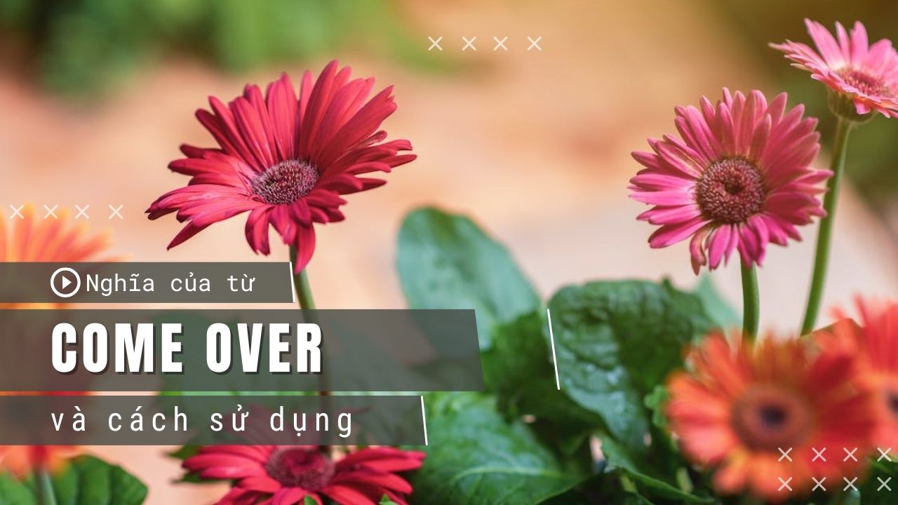 Come over là gì? Nghĩa và cách dùng trong tiếng Anh