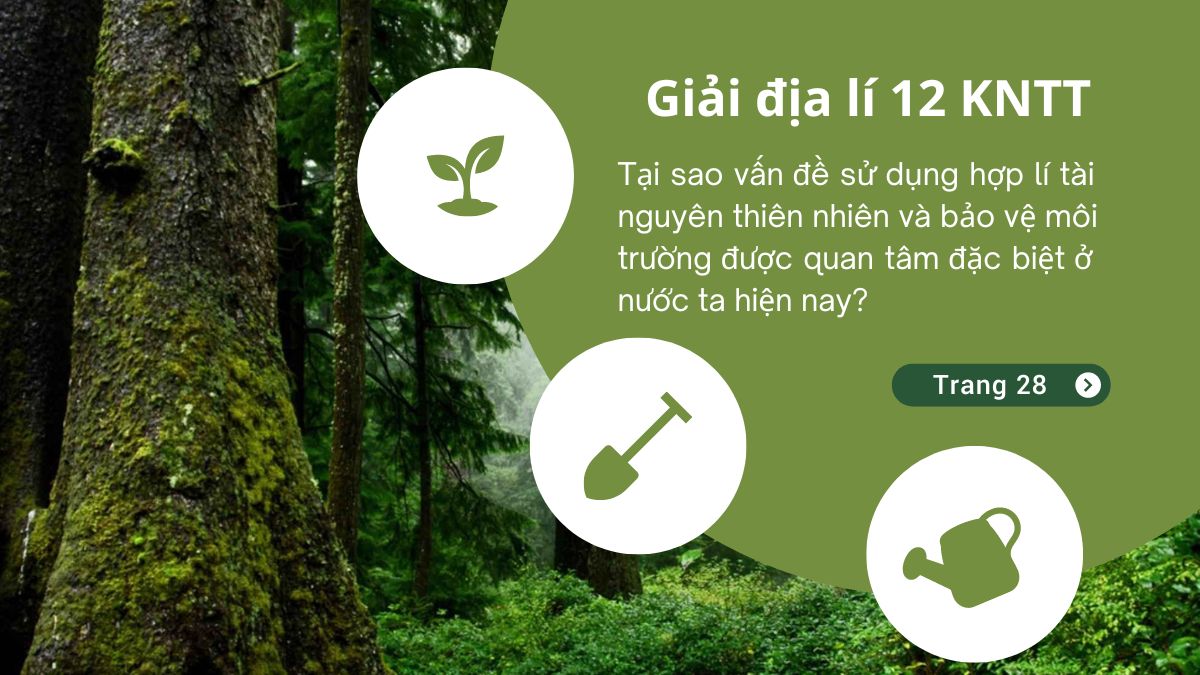 Tại sao vấn đề sử dụng hợp lí tài nguyên thiên nhiên và bảo vệ môi trường